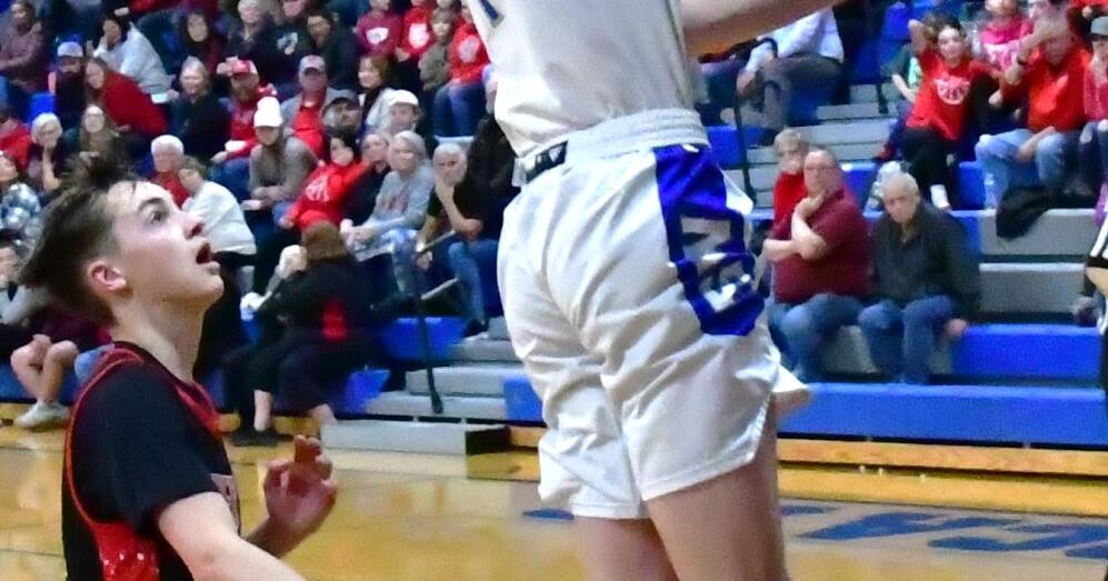 Wildcats fall short in sectionals | Sports | galenagazette.com