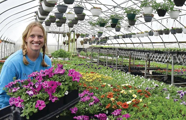 Aunt Beez Greenhouse is open for the season! | Local News ...