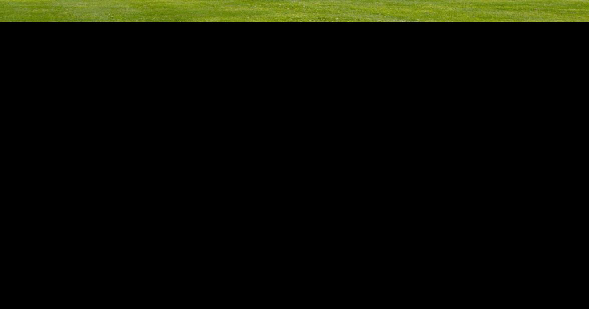 Lindstrand tests new balloon | News | galenagazette.com