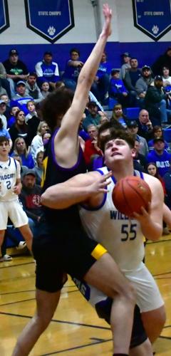 Wildcats fall short in sectionals | Sports | galenagazette.com