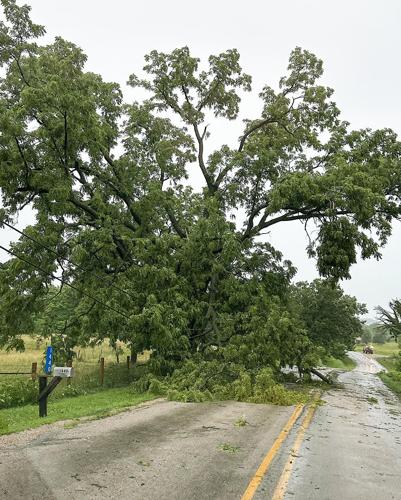 Storms cause downed trees, outages | Meteorology | galenagazette.com