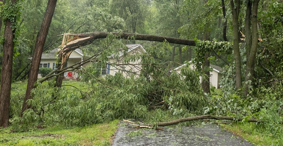 Storms cause downed trees, outages | Meteorology | galenagazette.com