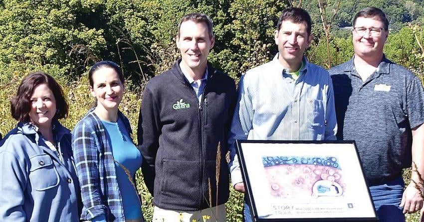 Call Me Tree/ Llmame rbol story board completed | Local News ...