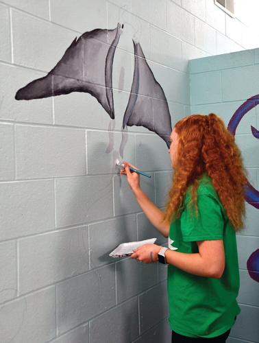 Students help create new Galena pool murals | Local News ...