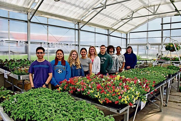 A look at the FFA students who grew your plants | Local News ...