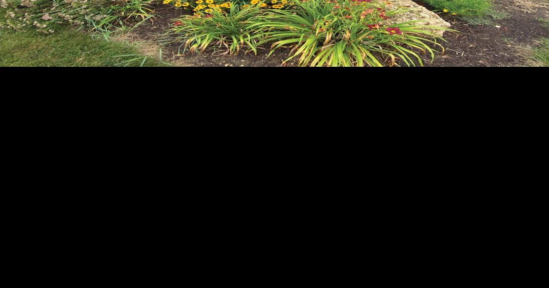 Finally!: After years of waiting, Midwest Medical Center to move ...