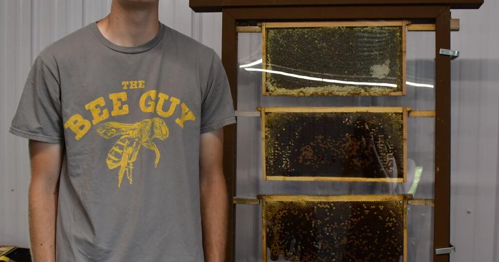 Long-time passion for bees turns into bzzness | News | galenagazette.com