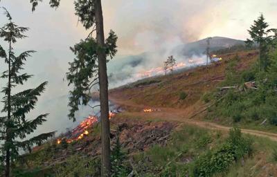 Crews hold Mica Creek fire to 17 acres; mop-up continues | News ...
