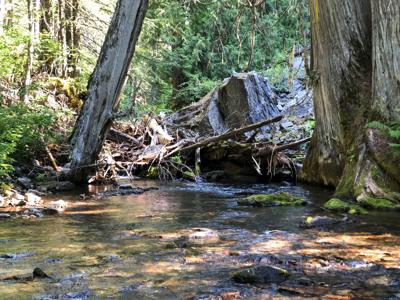 The nearby Great Outdoors: Skookum Creek Trail #193 | Sports ...