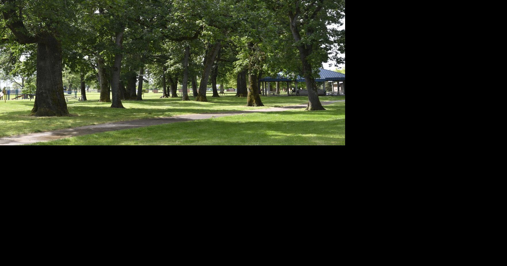 Albany changes city code to protect trees