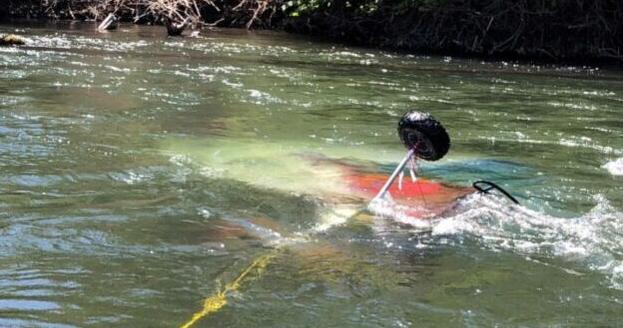 One dead after paraglider crashes into Willamette River