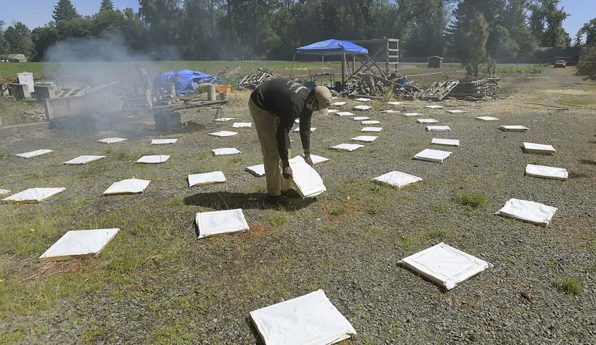 Torching trees to save lives