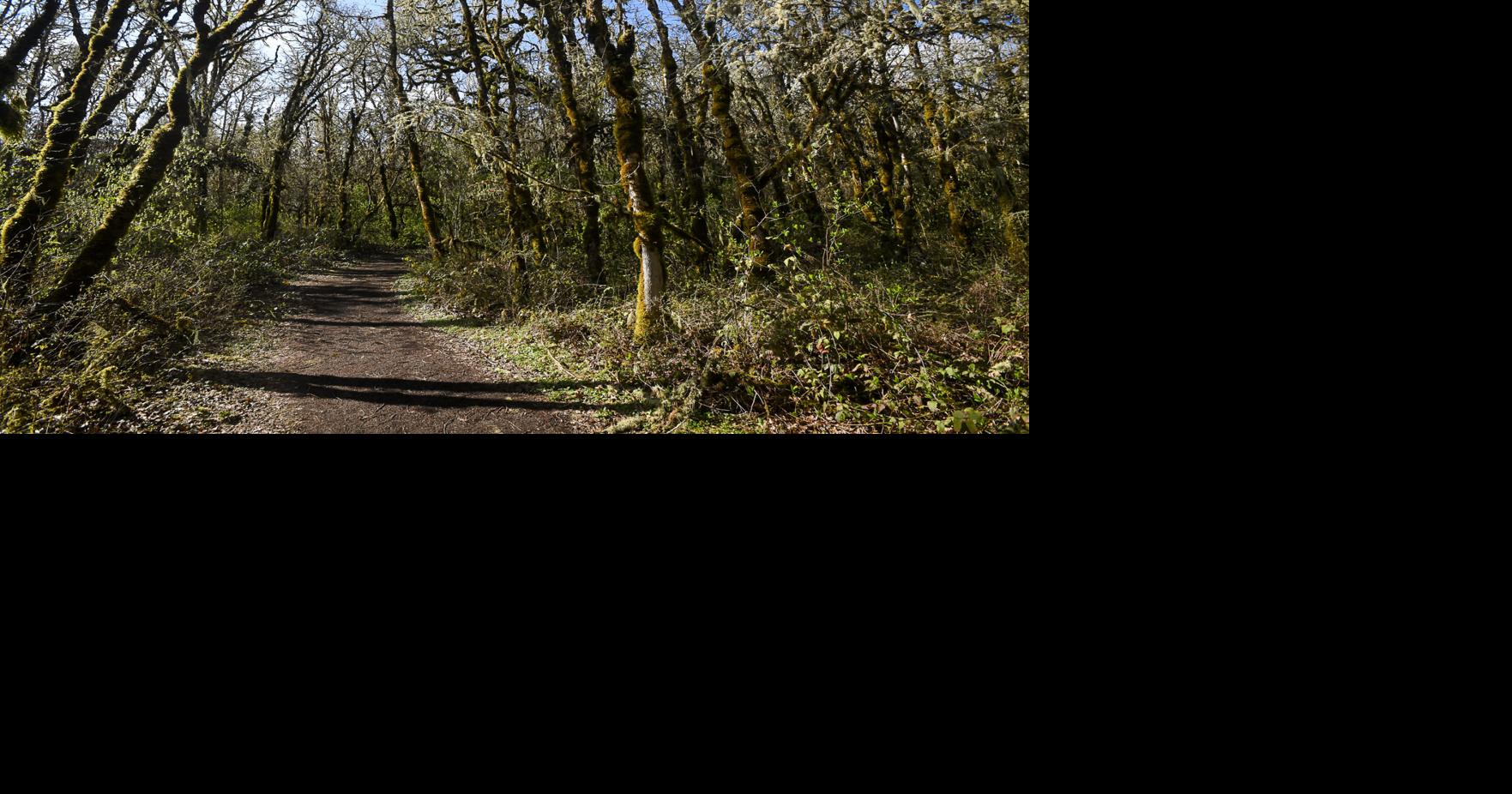 OSU forest study asks: How protected is protected?