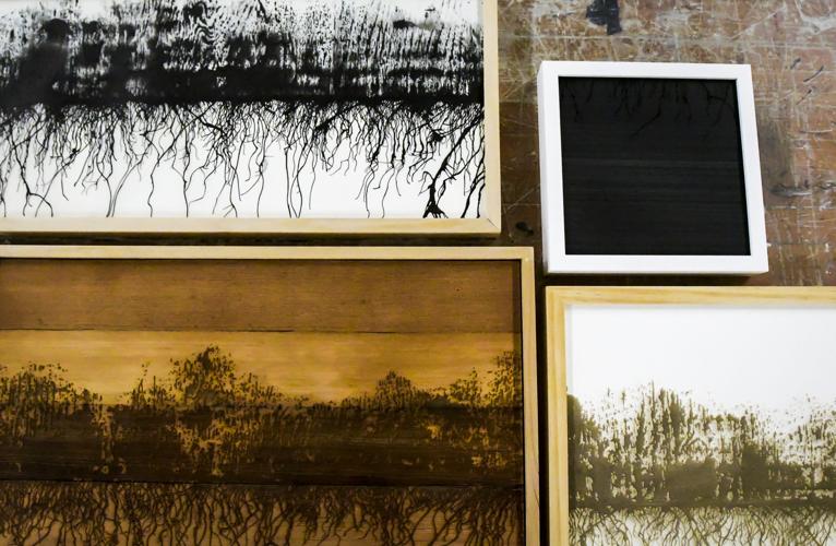 Corvallis Arts Walk Spotlight: Michael Boonstra