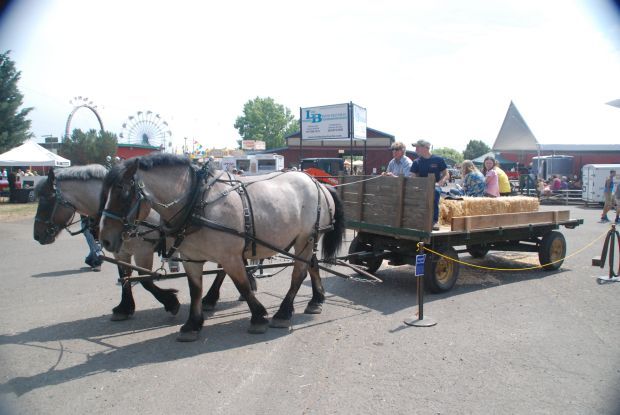 Carriage rides provide old-fashioned public transit