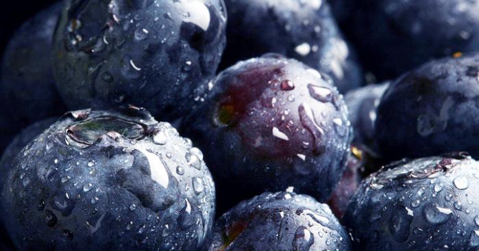 Blueberries stand tall