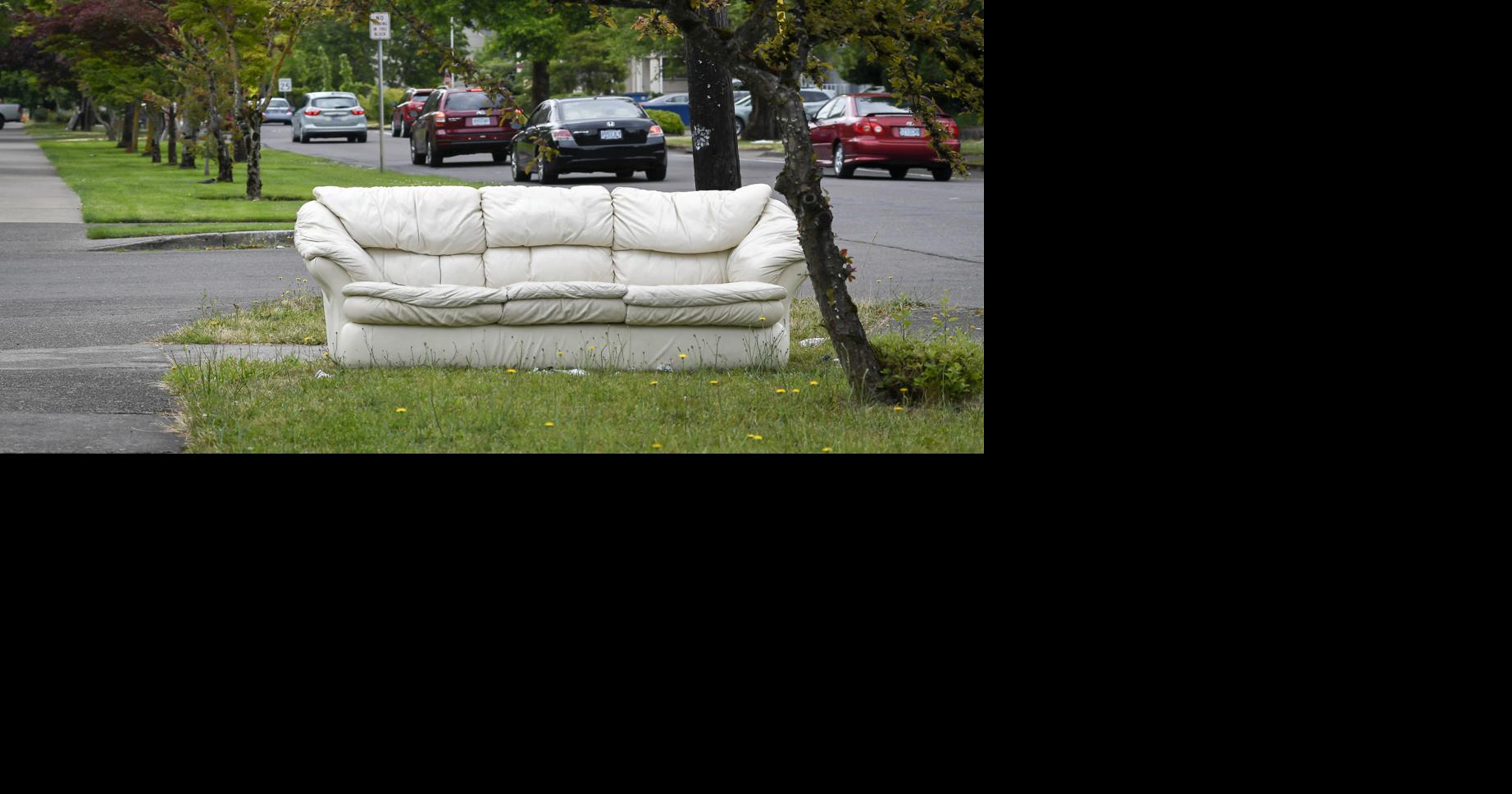 Couch Patrol: There is a lot of weird stuff out there in Corvallis