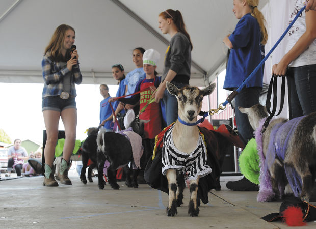 Animal fashion show, tasty treats, fun featured as fair opens with kids day