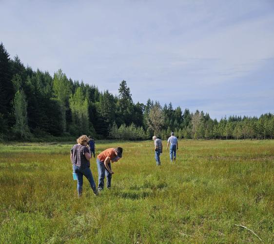 Conservation groups host biodiversity tour in Philomath farm
