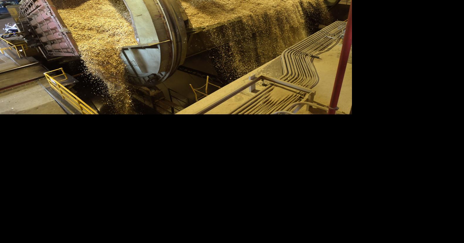 Gallery: Georgia Pacific's Toledo Mill