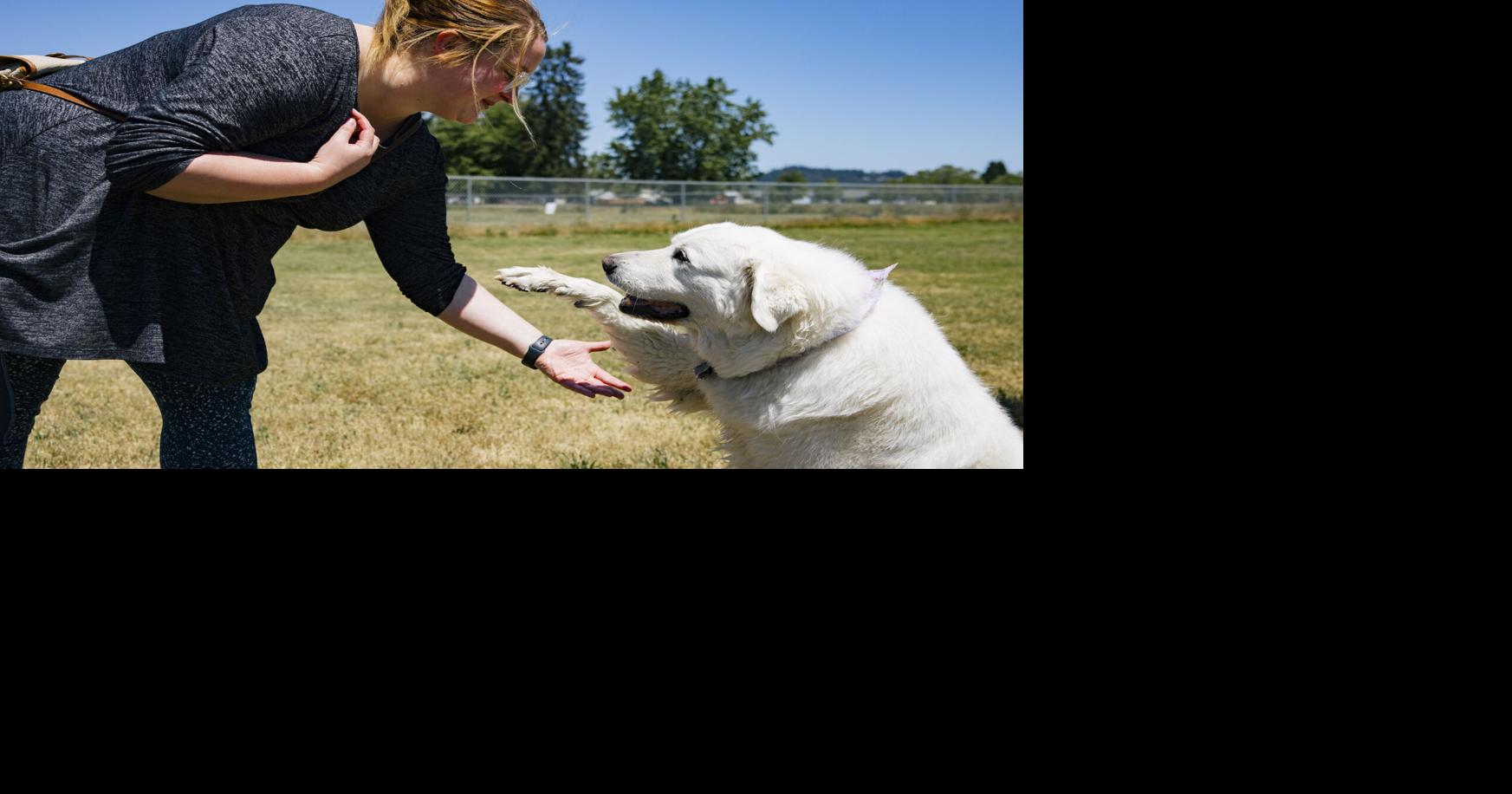 Anglers and dog lovers clash at Albany dog park