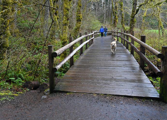 Beazell Memorial Forest remains open and provides outlet during pandemic