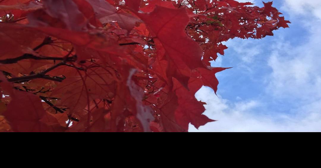 Weekend weather: Wet and windy, with highs in the 50s