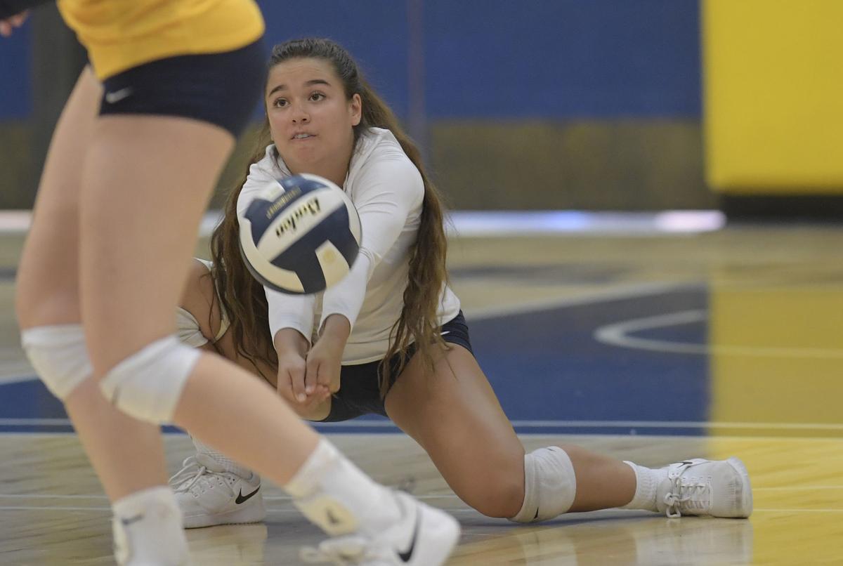 Linn-Benton volleyball: Expectations remain high for Roadrunners ...