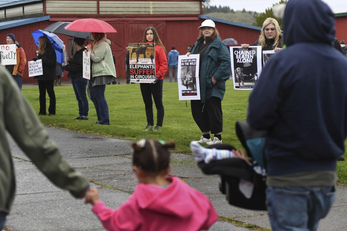Animal rights protesters picket circus | Local | gazettetimes.com