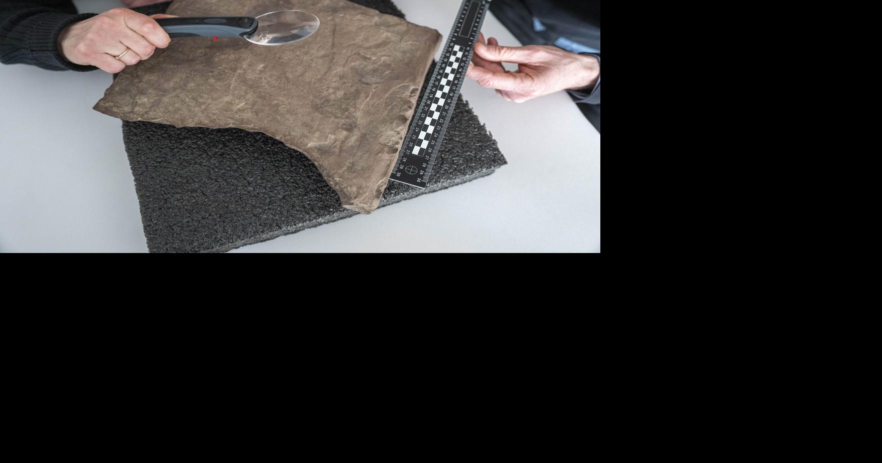 Norway archaeologists find 'world's oldest runestone'