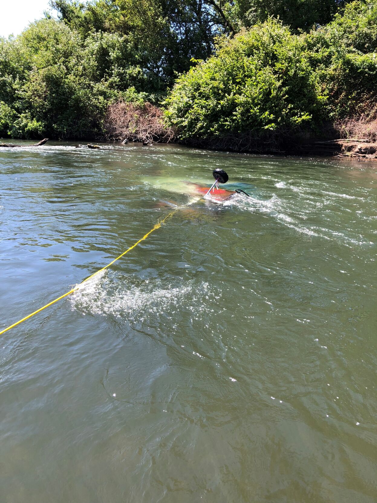 One dead after paraglider crashes into Willamette River
