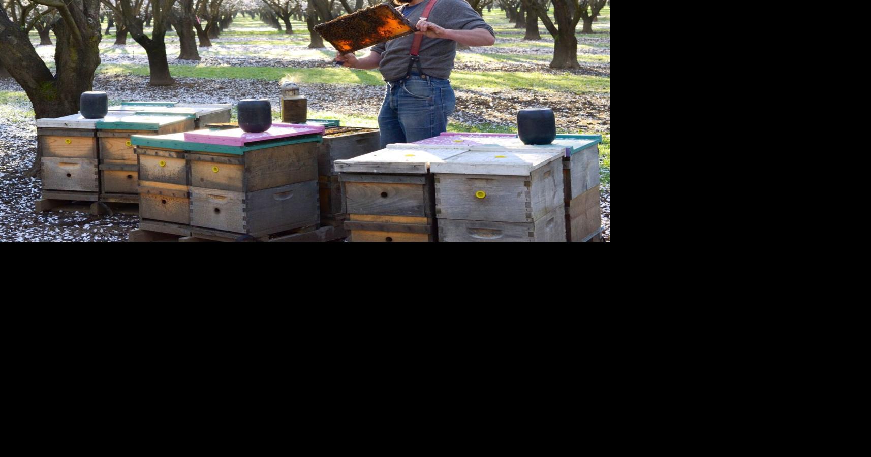 Local honey makers expand with tasting room