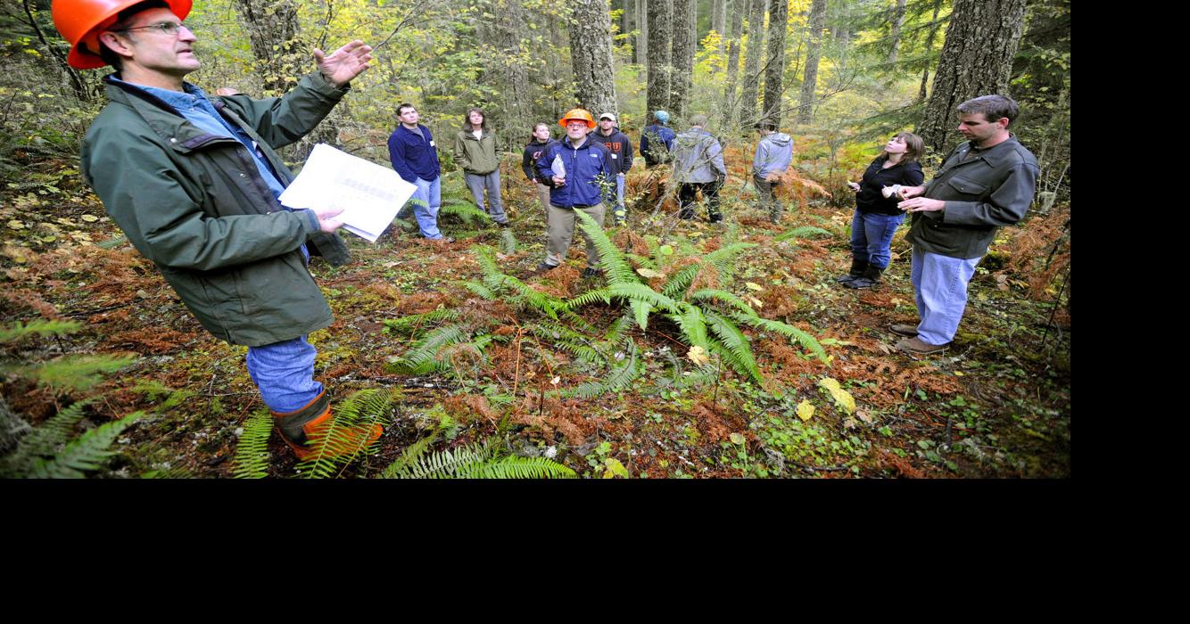 O&C counties to challenge BLM timber harvest levels