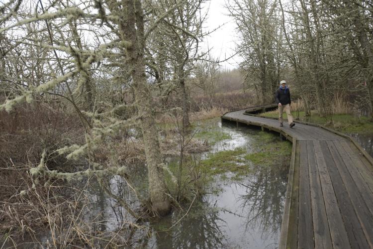 The wetter the better: Benton County aims to restore hydrology and ...
