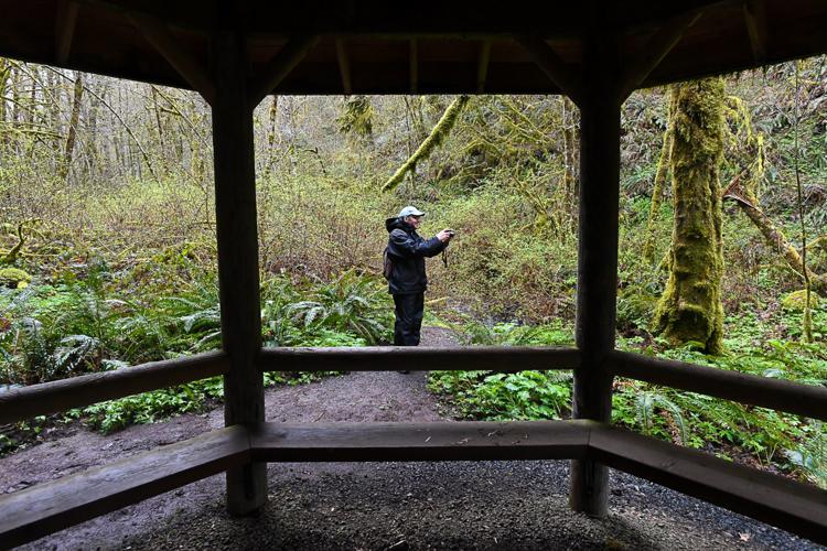 Beazell Memorial Forest remains open and provides outlet during pandemic