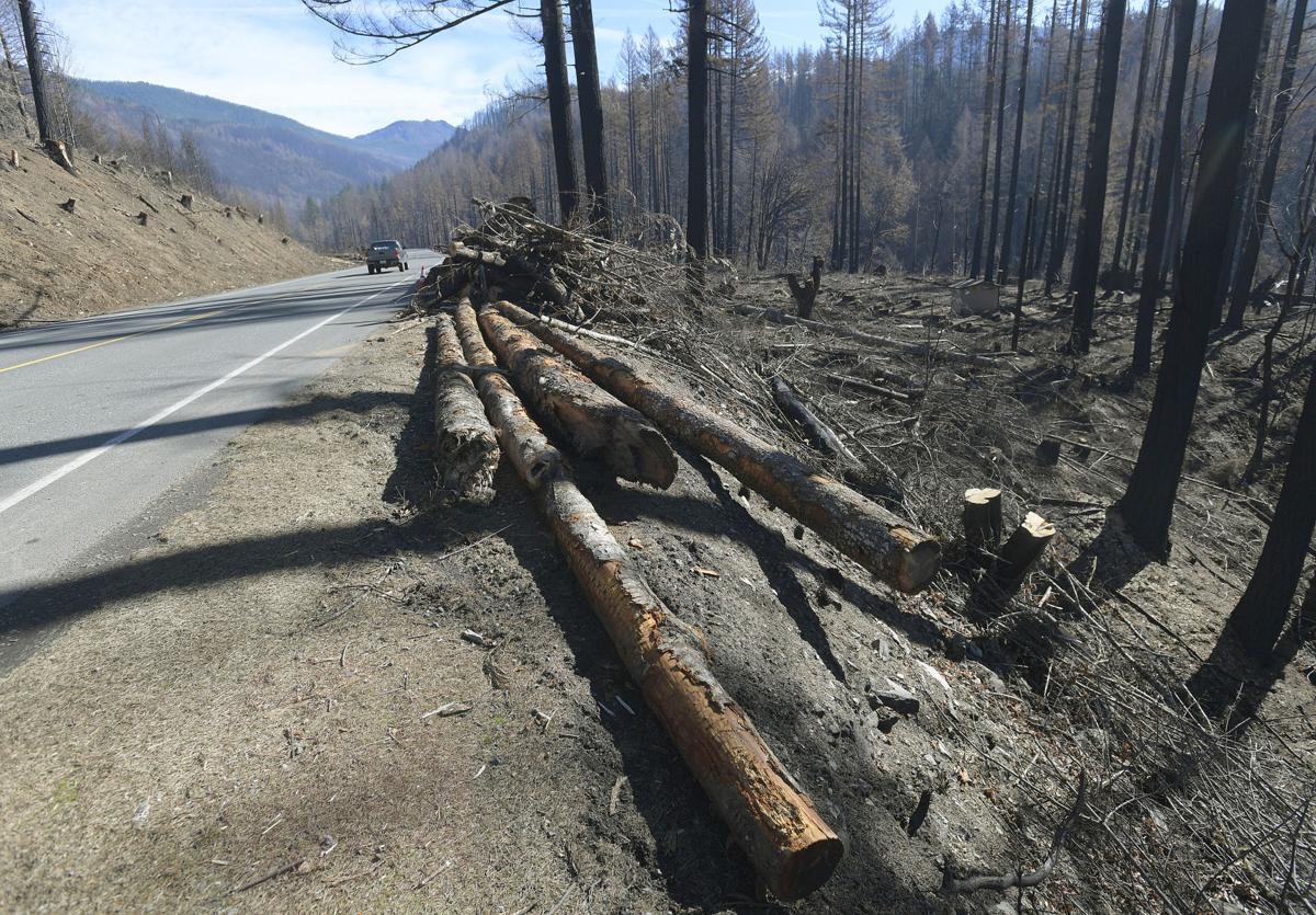 Gallery: Santiam Canyon after the fire