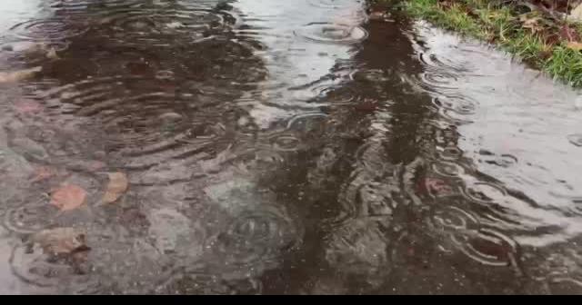 Downpours galore: 3 inches of rain in 24 hours