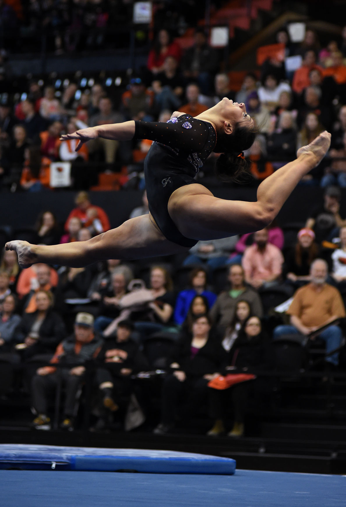 Gallery: Best of Beavers Gymnastics 2016-17