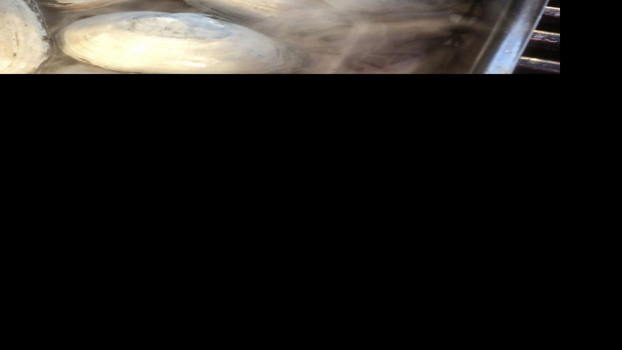 Dig into steamed clams | Food and Cooking | gazettetimes.com