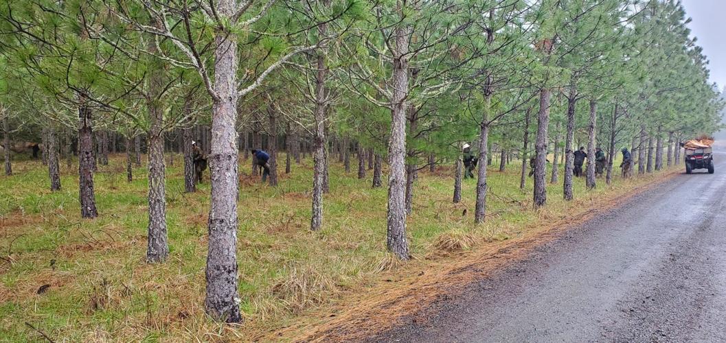Conservation groups host biodiversity tour in Philomath farm