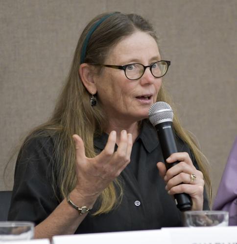 City urged to inject more climate action into work plan