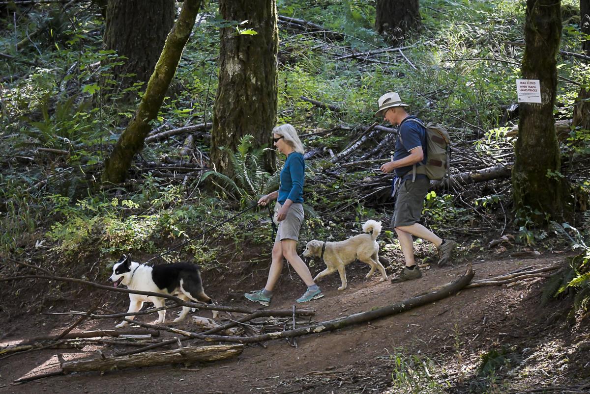 OSU schedules info sessions on research forests