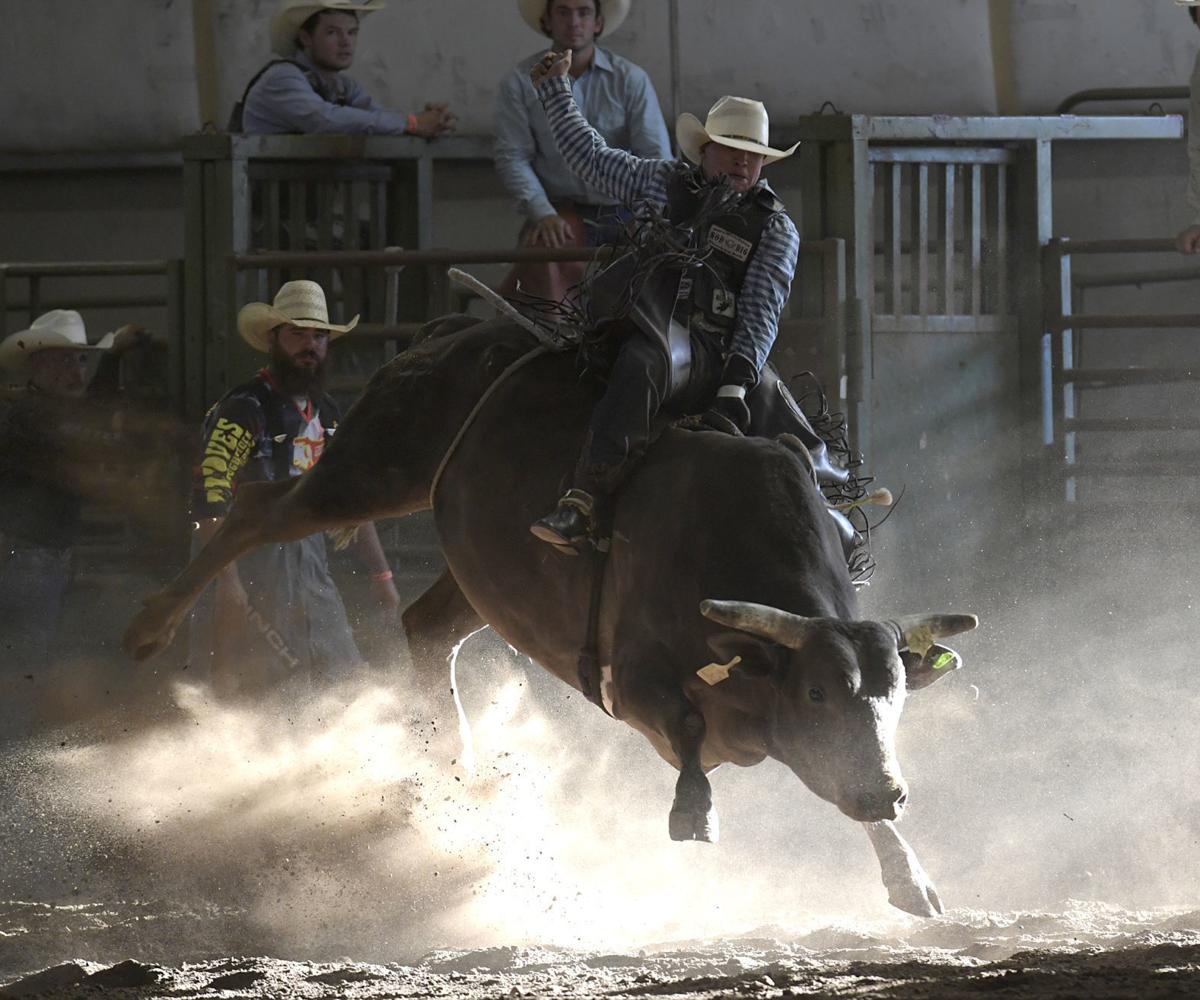 Gallery: Linn County Rough Stock Rodeo | Local | gazettetimes.com