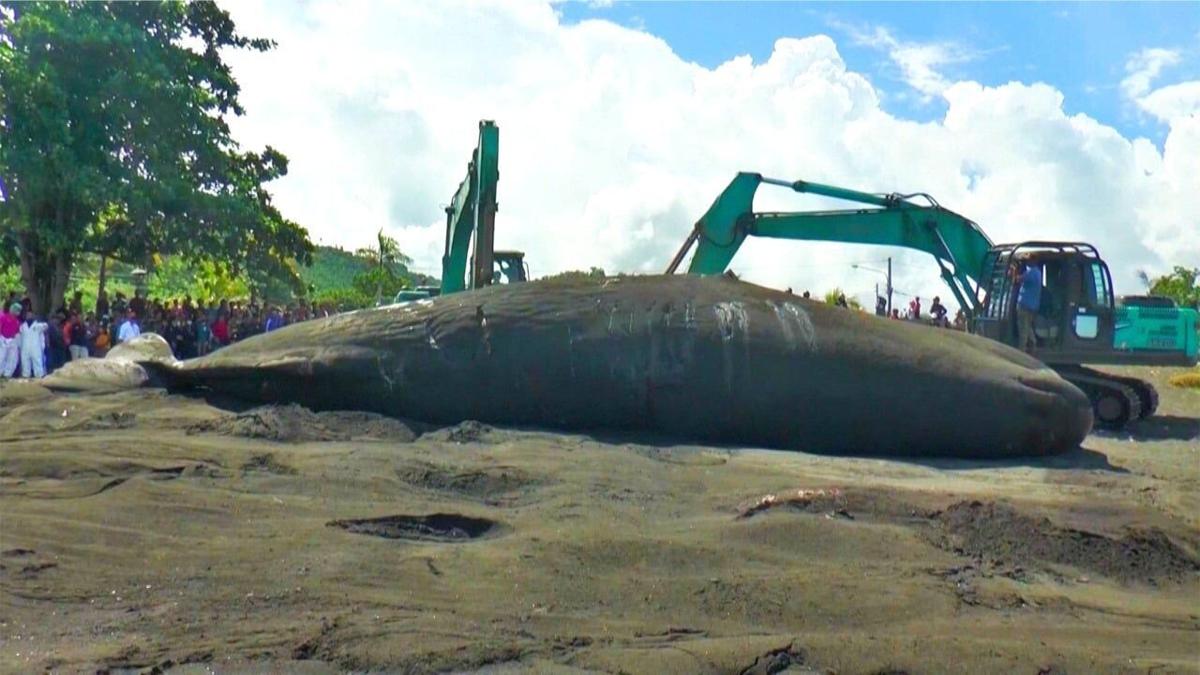 CPR training nets participants free OSU basketball tickets