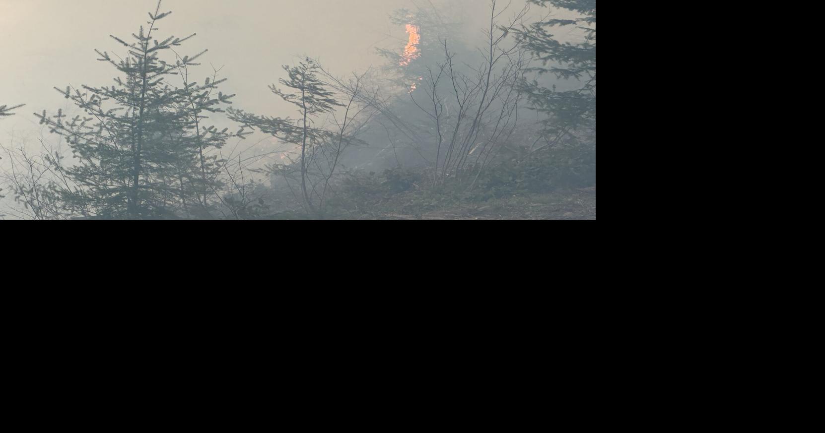 Sweet Home firefighters working wildfire