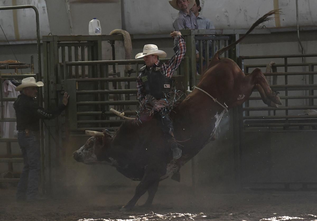 Gallery: Linn County Rough Stock Rodeo