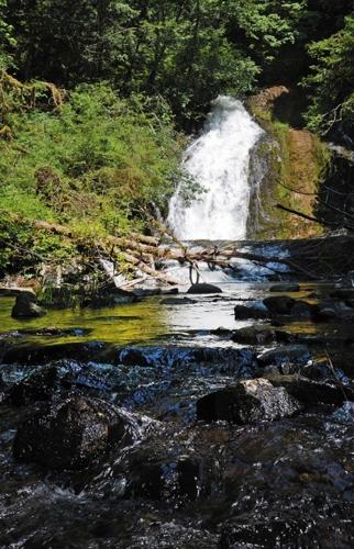 Day Tripper: Alsea Falls, a gem close to home