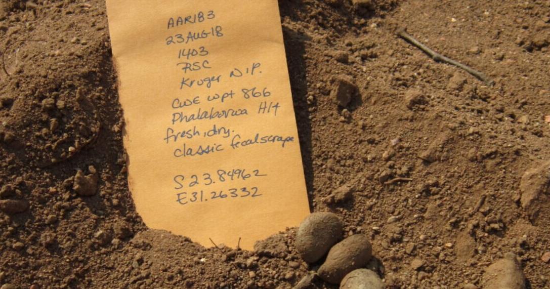 OSU scientists study aardvark poop