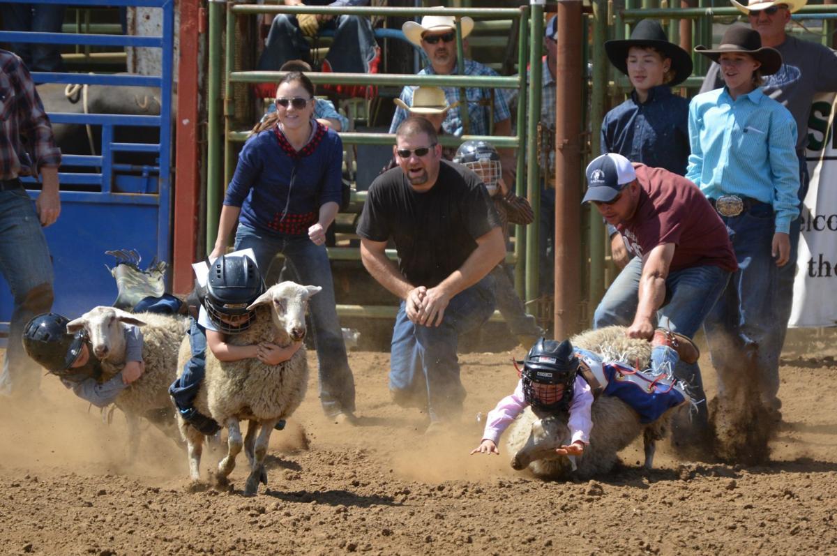 Youth rodeo finals return next week to Philomath arena | Sports ...