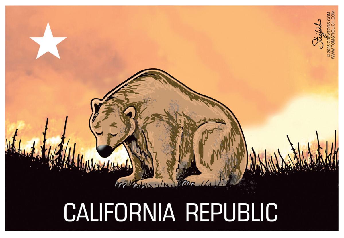 8 political cartoons lament California's wildfires
